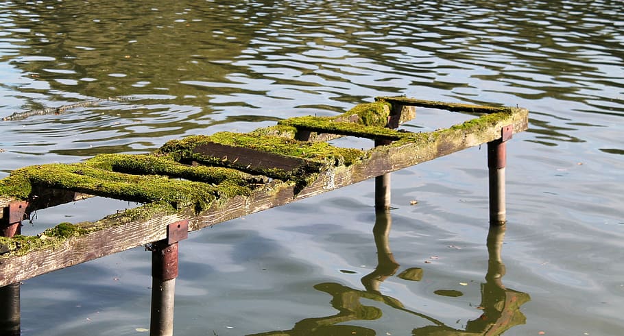 Tips to Remove Green Algae from Wooden Boat Docks - EZ Dock Texas