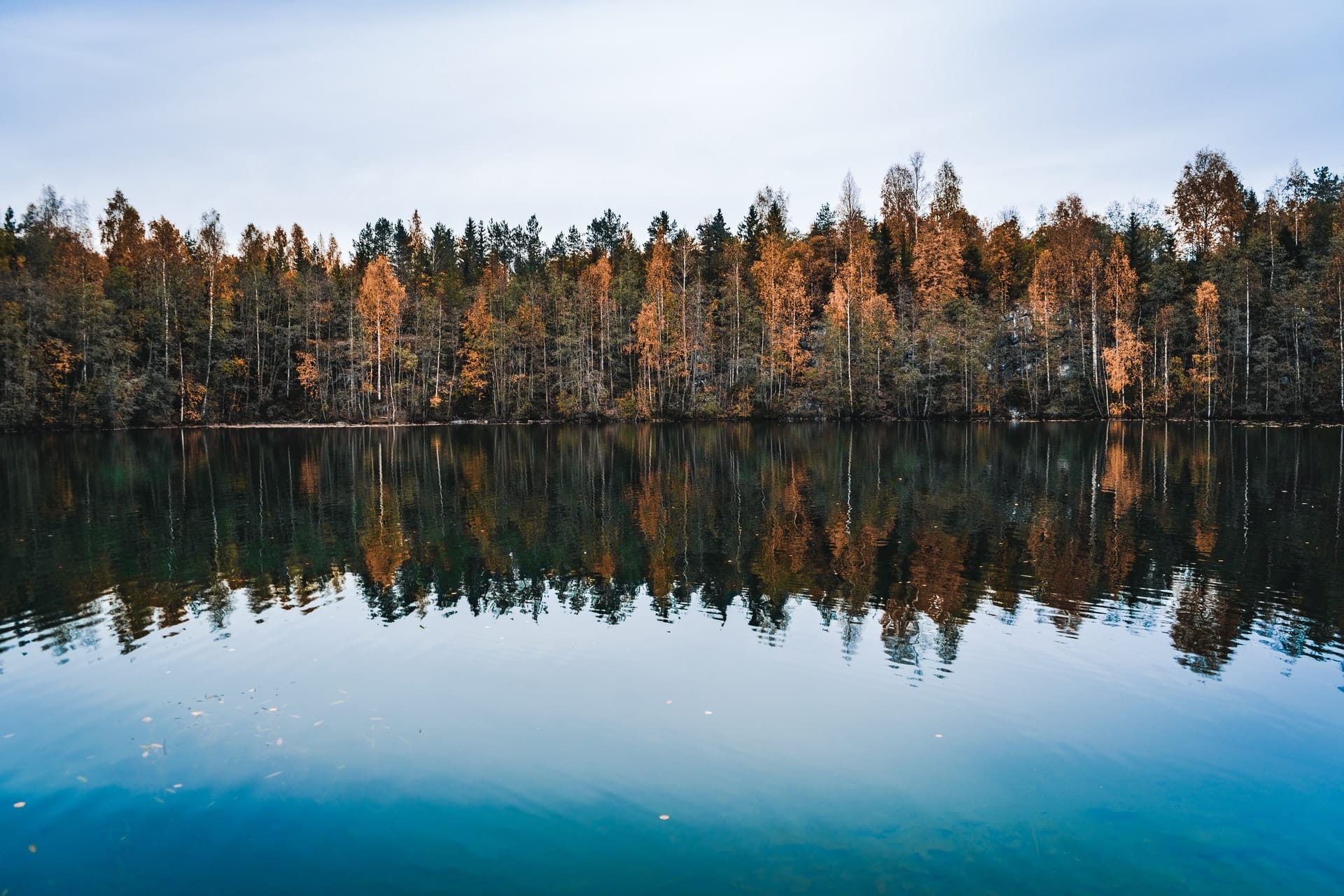 Things to Do At the Buffalo Springs Lake for the Ultimate Fun Time - EZ ...